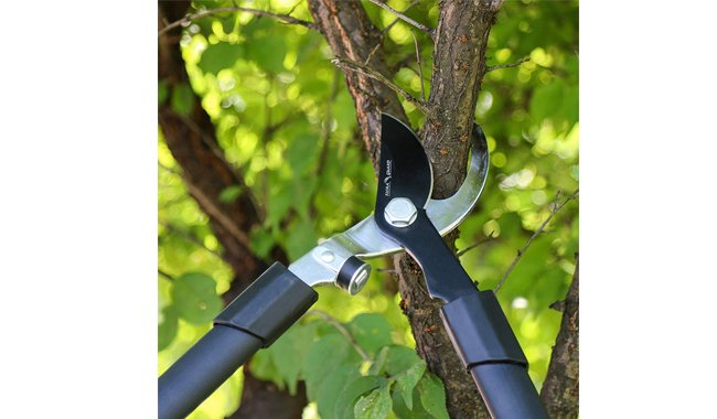 10 Best Tree Loppers in 2024 Comprehensive Review