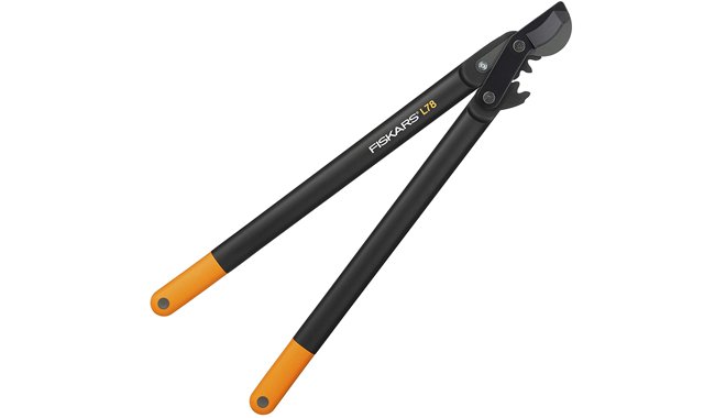 10 Best Tree Loppers in 2024 Comprehensive Review